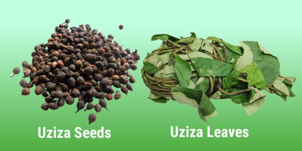 Experience the Amazing Health Benefits of Uziza Leaves and Seeds – Shop ...